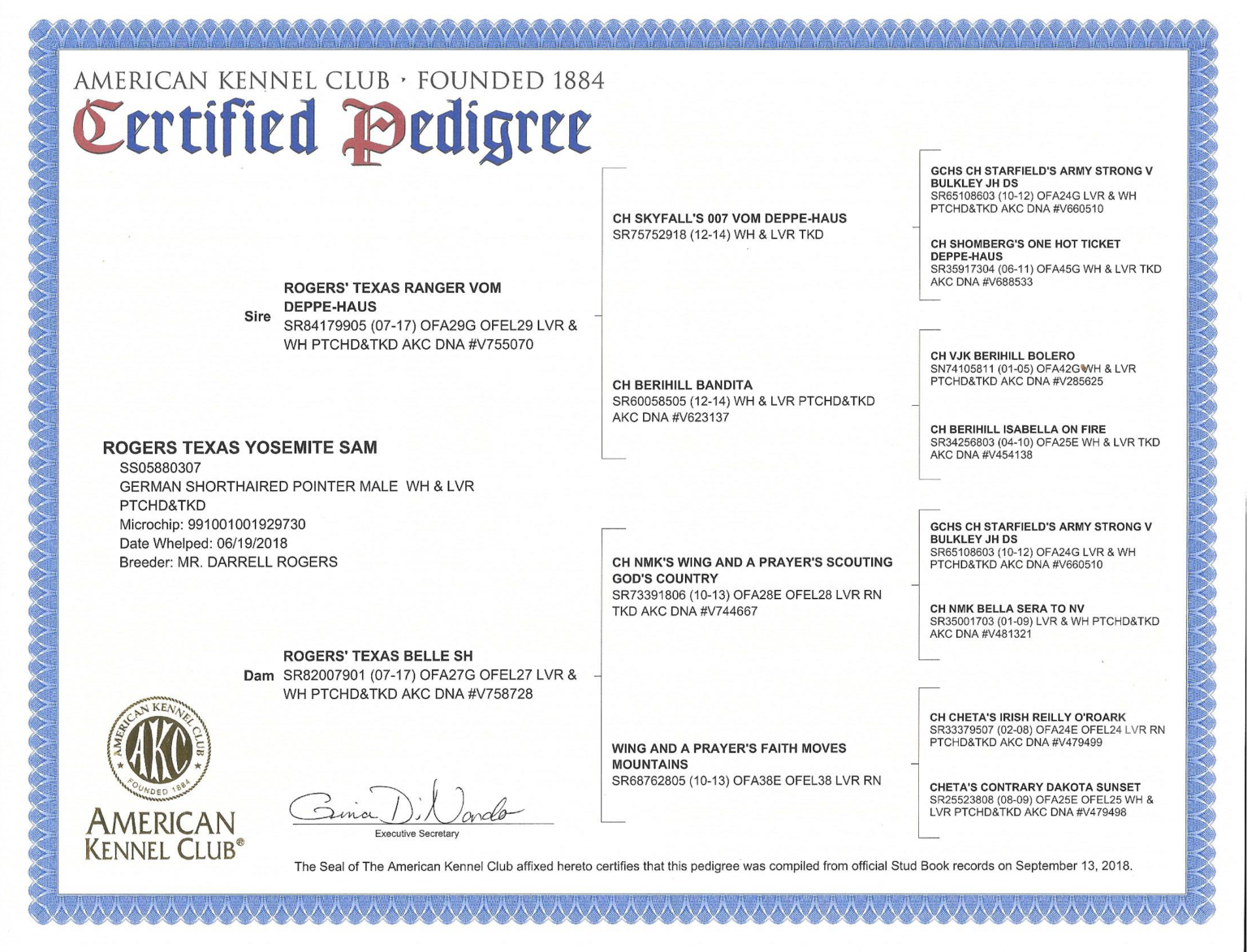 Sire and Dam Pedigrees - German Shorthaired Pointer Puppies
