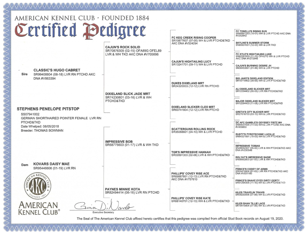 Sire and Dam Pedigrees - German Shorthaired Pointer Puppies